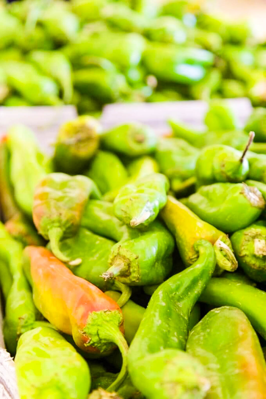 25 + Amazing Hatch Chile Recipes PLUS roasting tips! | Delicious Table