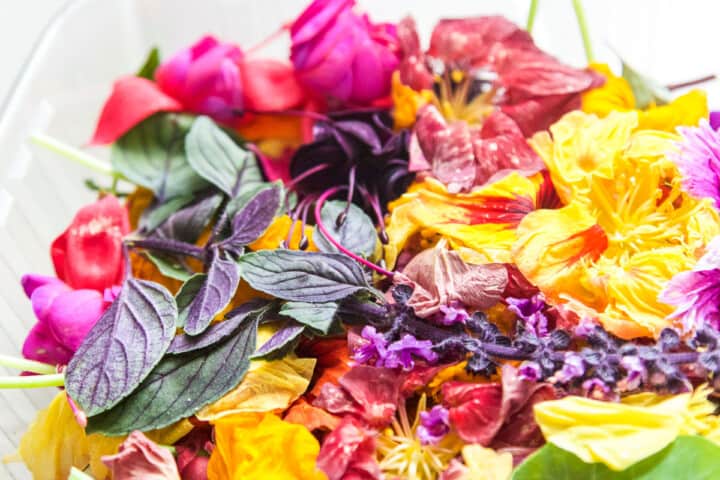 How To Make Spring Crostini Appetizers | Delicious Table