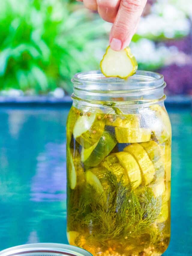 Refrigerator Dill Pickle Recipe (No Canning) - Delicious Table