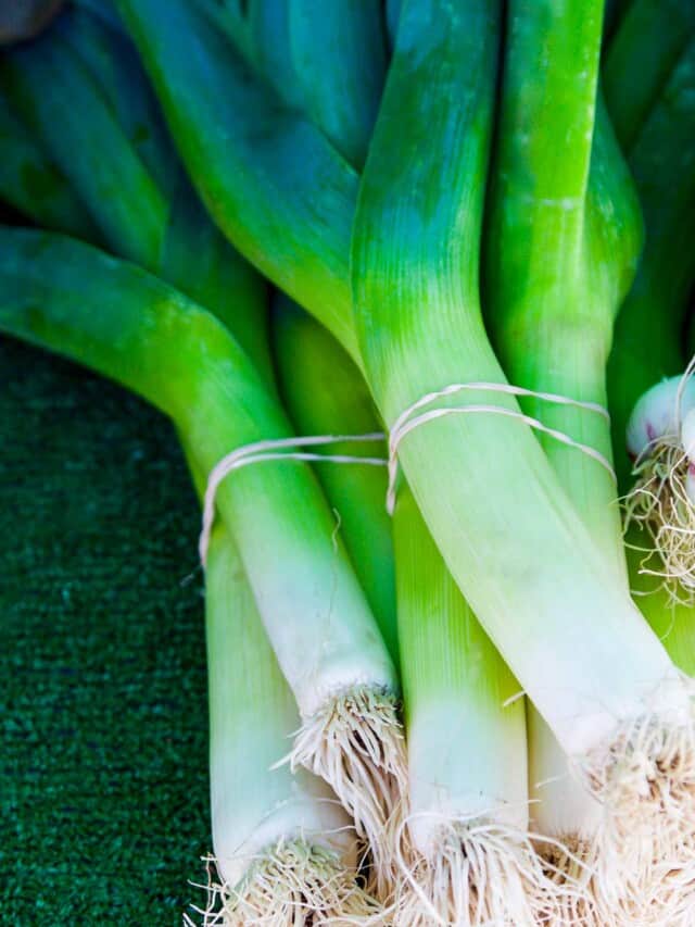 How To Clean and Cut Leeks (12+ Recipe Ideas) | Delicious Table