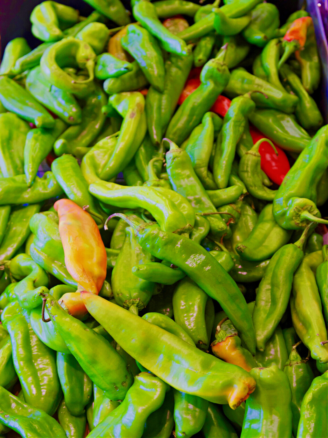 Hatch Chiles 80+ Recipes (Grill Roasting Tips) - Delicious Table