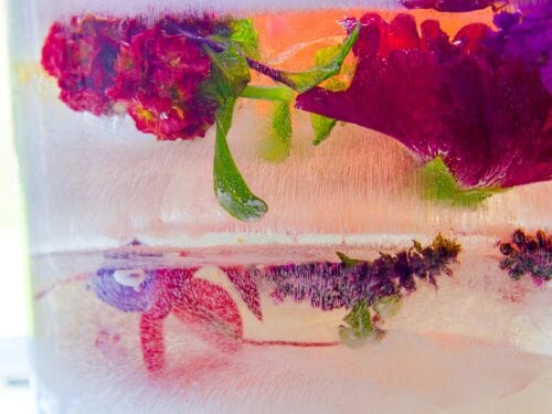 Flower Ice Bucket For Parties - Delicious Table