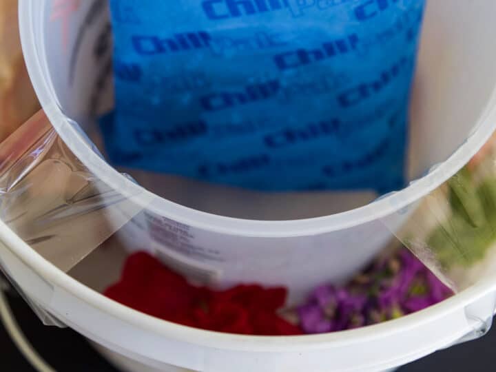 Flower Ice Bucket For Parties - Delicious Table