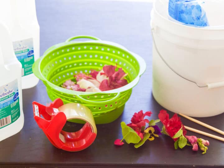 Flower Ice Bucket For Parties - Delicious Table