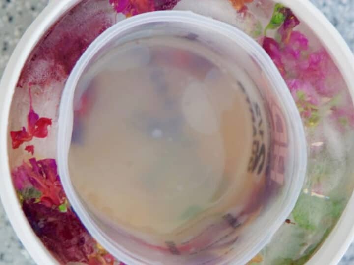 Flower Ice Bucket For Parties - Delicious Table