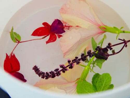 Flower Ice Bucket For Parties - Delicious Table