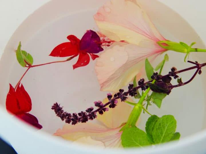Flower Ice Bucket For Parties - Delicious Table