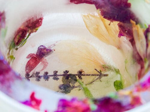 Flower Ice Bucket For Parties - Delicious Table