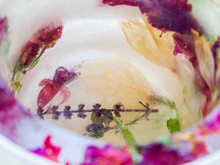 Flower Ice Bucket For Parties - Delicious Table