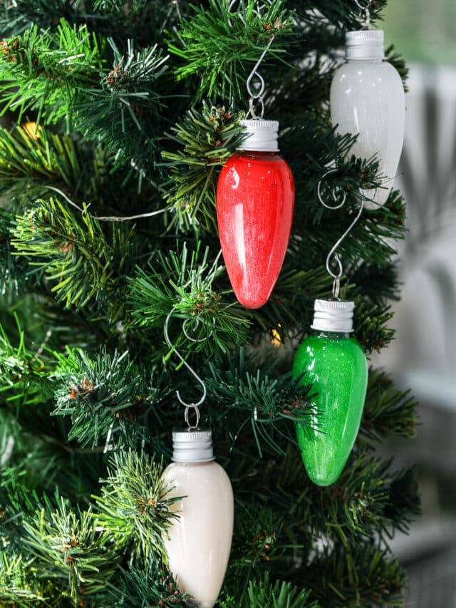 Christmas Shots - Delicious Table