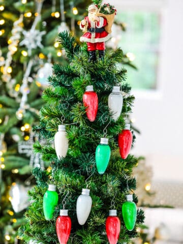 Christmas Shots - Delicious Table